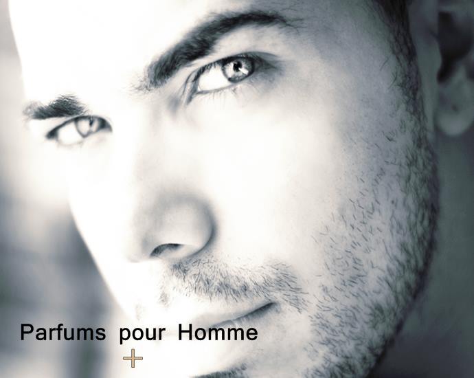 FORCOBAY - Parfums génériques à bas prix